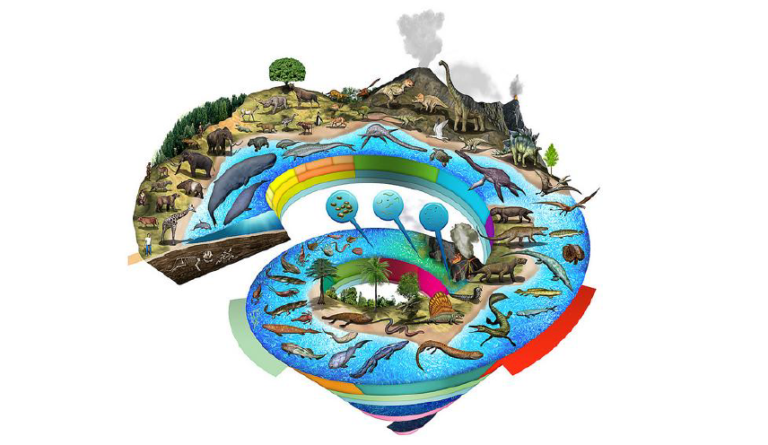 ¿Qué es el Tiempo Geológico y cómo se divide? - Geoplaneta.net
